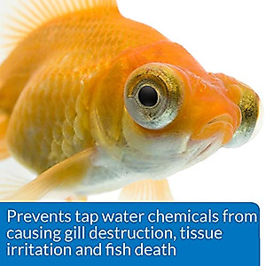 Aquarium Pharmaceuticals Goldfish Start Up Pack