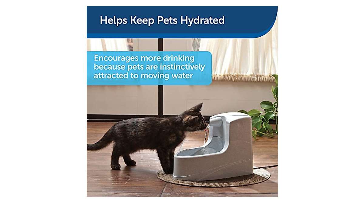 PetSafe Drinkwell Mini Fountain: Hydration for Cats & Dogs