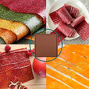 4 PCS Extra Thick Silicone Dehydrator Sheets With Edge - Silicone Fruit Vegetables Leather Dehydrator Trays for Liquids - Trays Liner for Dehydrator - Kitchen Dehydrator Mats Accessories