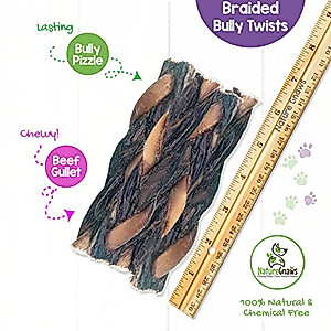 Nature Gnaws - Braided Twists for Dogs - Premium Natural Beef Dog Chew Treats - Combo of Bully Sticks and Beef Gullet - Long Lasting Training Reward