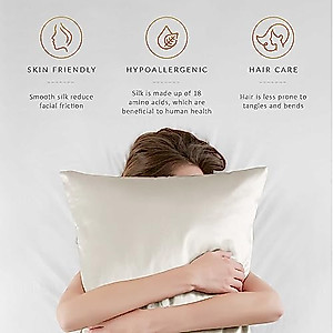 HYDE LANE 25 Momme 100% Pure Mulberry Silk Pillowcase for Hair and Skin with Hidden Zipper, Both Side Grade 6A Silk, Luxury Smooth and Soft,Real Silk Pillow Case, 1pc Queen 20''x30'',Ivory White