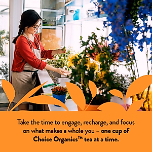 Choice Organics - Organic Decaffeinated English Breakfast Tea (6 Pack) - Fair Trade - Compostable - 96 Organic Black Tea Bags