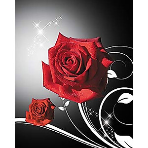 Unframed Modern Art Black and White Wall Romantic Red Rose Flower Poster Art Painting Set of 3 (“ 8x10”Canvas Picture) Girl Bedroom Spa Bathroom Art Prints Living Bedroom Corridor Kitchen Home Decor