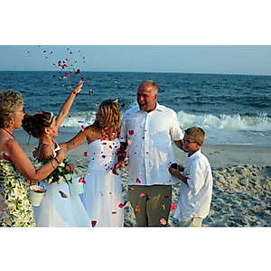 AllHeartDesires Teal Turquoise Blue Rose Flower Petals Beach Wedding Confetti Dinner Party Table Flower Girl Scatter Petals Anniversary Romantic Night Decoration (1,000)