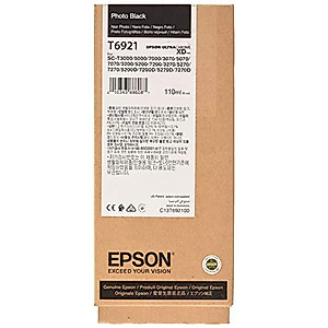 Epson Photo Black Ultra Chrome XD Ink Cartridge, 110 ml (T692100)