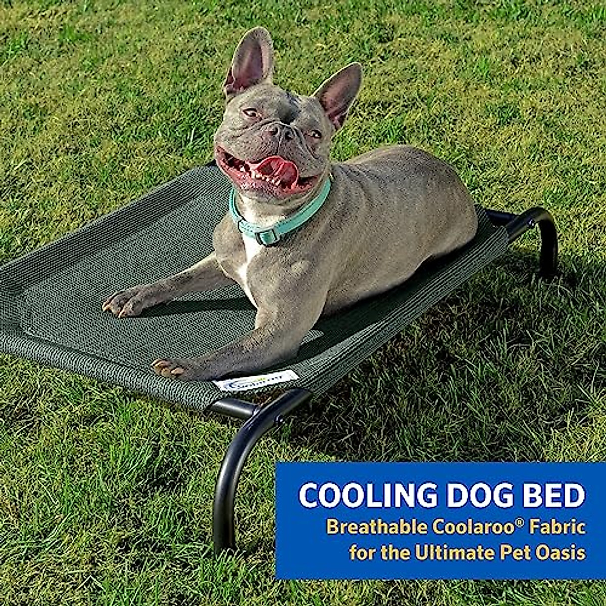 Coolaroo The Original Cooling Elevated Dog Bed, Indoor and Outdoor, Medium, Nutmeg