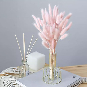 60PCS Rabbit Tail Grass Dried Flowers Dried Natural Floral Arrangement Bunch Decoration Dried Grass,Eternal Flower Dried Grass for Home,Wedding,Party,Flower Bouquet,Photo Props Decor (Light Pink)