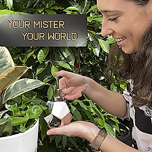 Stainless Steel Plant Mister Sprayer - metal plant mister spray bottle for succulents bonsai, air plants, indoor outdoor Silver spritzer pump for spraying moss orchid flowers herb gardens, terrariums