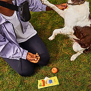 Wet Ones Antibacterial Hand Wipes, Tropical Splash - 20 ct. Size Wipes (10 Pack)