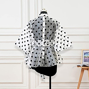 AOMEI Women's Stand Collar Polka Dot See Through Front Tie Peplum Blouse Transparent XXL