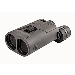 Sig Sauer ZULU6 16x42mm Schmidt-Pechan Prism Binoculars, Image Stabilized, Graphite, SOZ61601