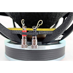 Q Power 12 Inch 3000 Watt Super Deluxe Subwoofer DVC Car Audio Sub | QP12-Super