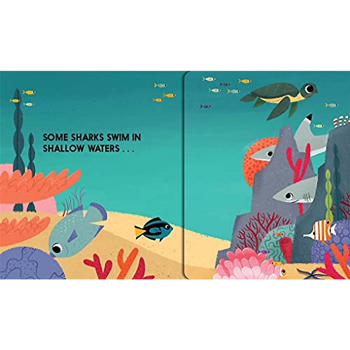 Sharkblock (An Abrams Block Book)