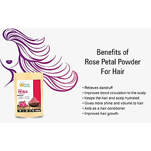 Herbs Botanica Rose Petal Powder Organic For Face Mask DIY masks | Skin Care, Aromatherapy | Natural and Chemical Free | No Added Preservatives or Colors 100g / 3.52 oz