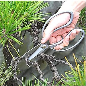 KAKURI Okubo Shears 7.8" (200 mm) Bonsai Scissors Long Blade, Flower Arranging Scissors, Japanese Stainless Steel, Silver, Made in JAPAN