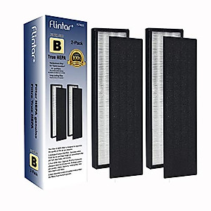 Flintar FLT4825 True HEPA Replacement Filter B, Compatible with GermGuardian Air Purifier AC4825 Series, AC4300BPTCA, AC4850PT, AC4900CA, CDAP4500BCA, Oransi Finn, 2-Pack