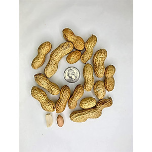 Executive Deal Executive Deals Premium Raw Peanuts in Shell for Birds, Squirrels, Deer, Backyard and Wildlife Animals - 5 lbs, 80 Ounces