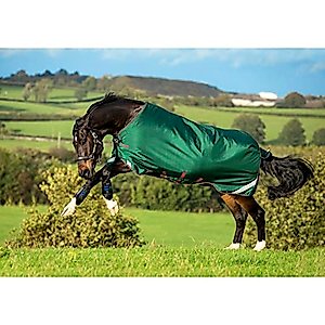 Horseware Rambo Original Turnout Blanket with Leg Arches (100g Medium-Lite), Size: 81, Color: Green (Red Trim)