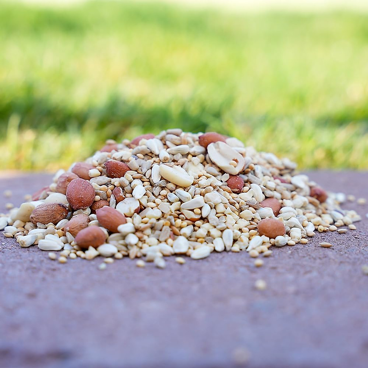 Desert Valley Waste Free Seed, All Natural, Non-GMO Premium Wild Bird and Wildlife Food for Jays, Dove, Cardinals, Squirrels, Chipmunks and More (10 Pounds)