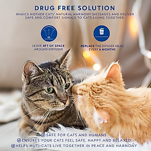 TriOak Cat Pheromones Calming Diffuser: Premium Cat Calming Diffuser - Cat Pheromone Diffuser - Pheromone Diffuser to Calm Cats - Cute Shape Feline Pheromone Diffuser, 2Pack (Blue)