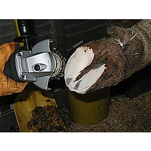 Complete Dairy Cow Hoof Care/Trimmer Set 110v US