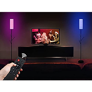 ELINKUME LED Floor Lamp for Living Room,67" Modern Floor Lamp with Remote,Dimmable RGB Clothes Hanging Standing Lamp-Remote & WiFi APP Controlled, Includes 9W Bulb for Bedroom,Corner Space