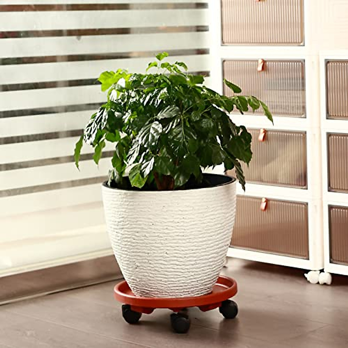 3 Pakcs Large Plant Caddy with Wheels 15.8" Rolling Plant Stands Heavy-duty Plastic Plant Roller Base Pot Movers Plant Saucer on Wheels Indoor Outdoor Plant Dolly with Casters Planter Tray Coaster Red