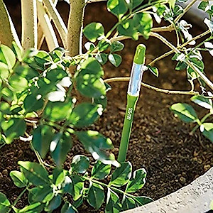 IPPINKA Sustee Aquameter, Set of 4, Plant Soil Moisture Sensor (Green, Medium)
