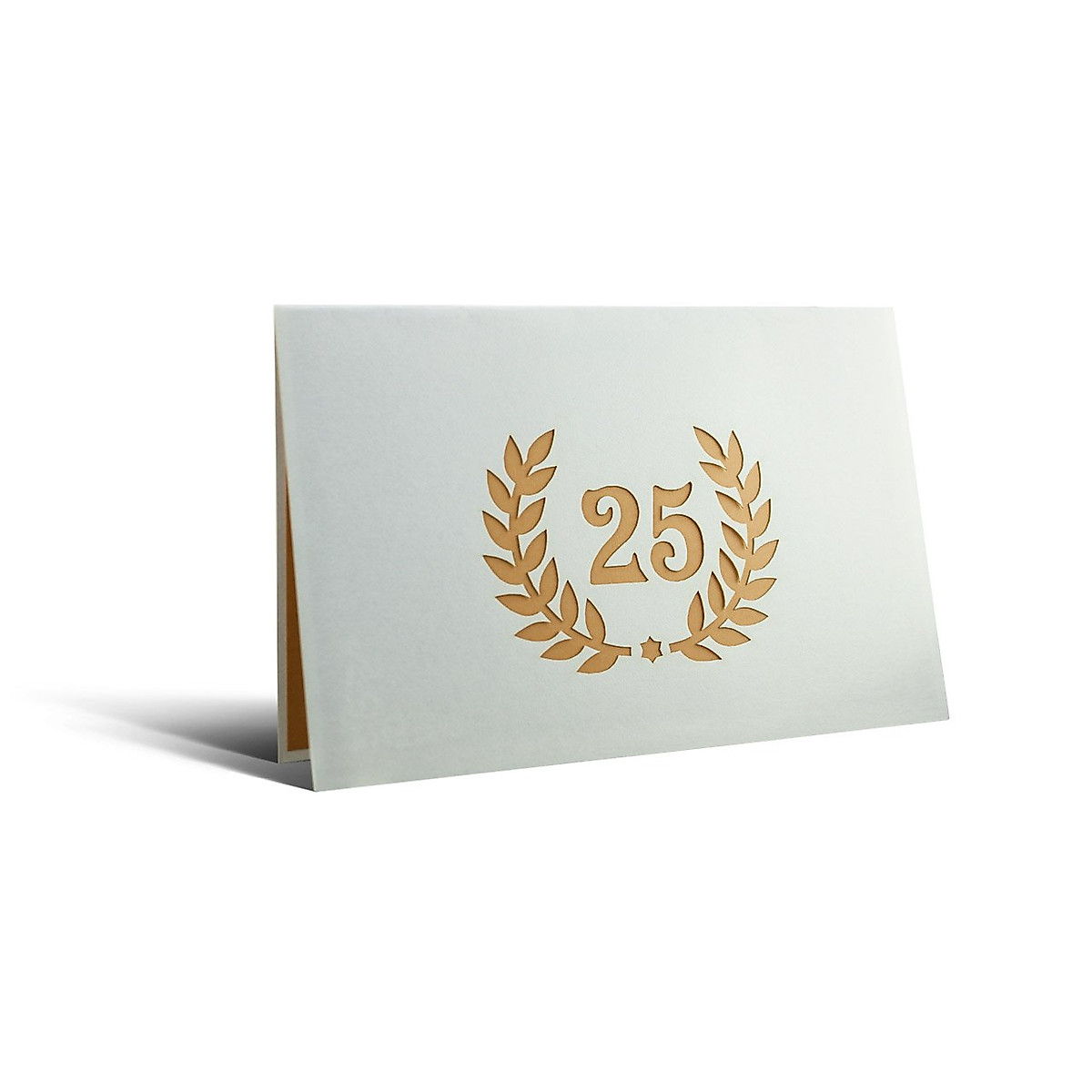 Diese-Klappkarten Pop Up Silver Anniversary Card - 3D 25th Wedding Anniversary Cards for Husband and Wife - Special Luxury Gift Card for Bride and Groom Couples