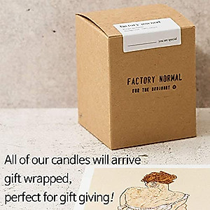 Late Night Sex Scented Soy Candles, Factory normal Handmade Amber jar Candle, 4oz, 18 Hour Burn Time