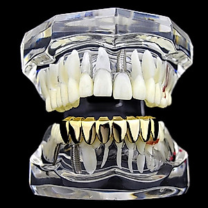 Bottom Eight Tooth Grillz 14k Gold Plated Lower Row Slugs Plain 8 Teeth Hip Hop Grills