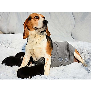 Dog Anxiety Vest with Artificial Nipple| Dog Belly wrap, reducing Anxiety, Pain| Dog weaning Control Suit| Dog Recovery Suit for Injury.