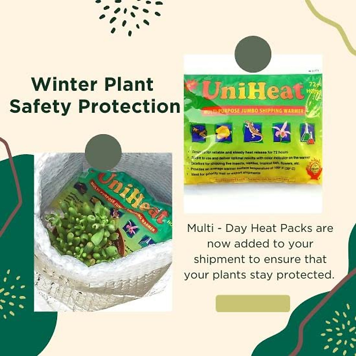 HOUSE PLANT SHOP | Air Purifying Variety Bundle - 3" Pot | Live Indoor Plant | Easy to Care | Natural Décor Plant | Great Gifts | Free Care Guide