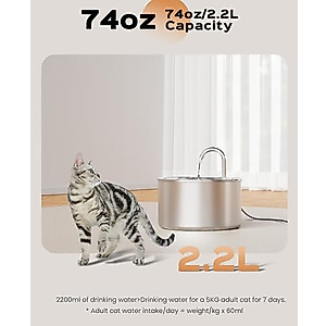 Stainless Steel Cat Water Fountain: Pet Fountains Indoor Metal Automatic Dispenser Cat Waterer Bowls Dog Faucet Bottle Pets 24/7 Running Watering for Drinking Quiet Pump with 1 Filter