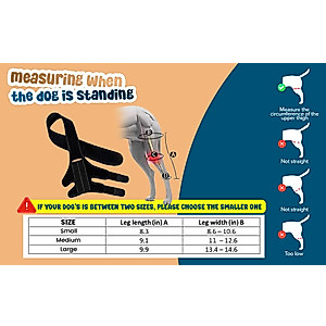 HAPPY PETS CO Dog Knee Brace Adjustable Front Hind Leg Brace for Cruciate Ligament Injury, Luxating Patella, Torn ACL
