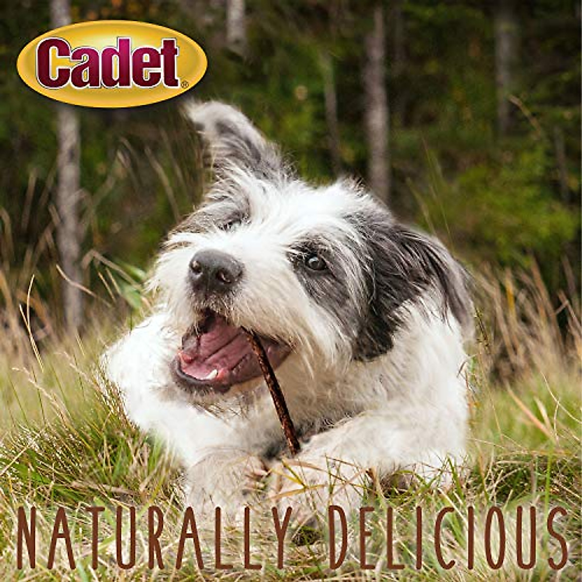 Cadet Premium Grade Munchy Beef Hide Sticks Beef Flavor 5 Inch, 100 Pack