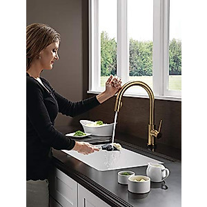 Delta Faucet Trinsic Gold Kitchen Faucet Touch, Touch Kitchen Faucets with Pull Down Sprayer, Kitchen Sink Faucet, Faucet for Kitchen Sink, Touch2O Technology, Champagne Bronze 9159T-CZ-DST