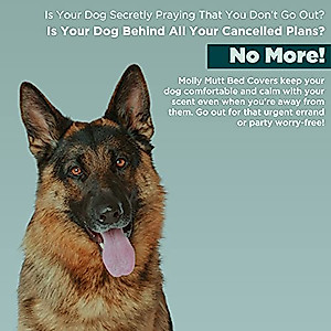 Molly Mutt Medium to Large Dog Bed Cover - Royals Print - Measures 27”X36”X5’’ - 100% Cotton - Durable - Breathable - Sustainable - Machine Washable Dog Bed Cover