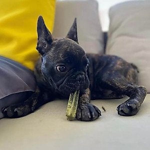 Pupford Dental Chews for Dogs | Freshens Breath, Scrapes Plaque, Safe for Gut | Healthy, Limited Ingredient, All Natural |Yummy & Made in USA | Free Training Resources | 30 Count