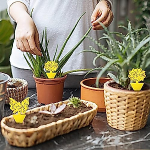 36 Pack Sticky Traps Plant Trap for Fungus Gnat, Fruit Fly Traps for Mosquito and Bug Indoor & Outdoor, Pest Insect Catcher Killer