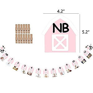 Cow 12 Month Photo Banner 1st Birthday Party Decoration One Cake Smash Pink Farmhouse Animal Photo Backdrop Supplies