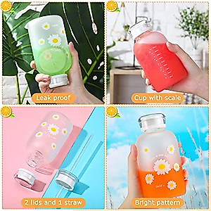 3 Pcs 480ml/16oz Cute Glass Water Bottles Reusable Aesthetic Milk Juice Water Bottles with Scale 6 Lids and 3 Straws Portable Matte Glass Cups Little Daisy Kawaii Frosted Bottles for Women Girls