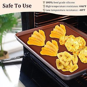 6PCS Silicone Dehydrator Sheets with Edg Non Stick Fruit Leather Trays for Dehydrator Reusable Silicone Dehydrator Tray Liners with Silicone Scraper for Food Vegetables Meat Liqui