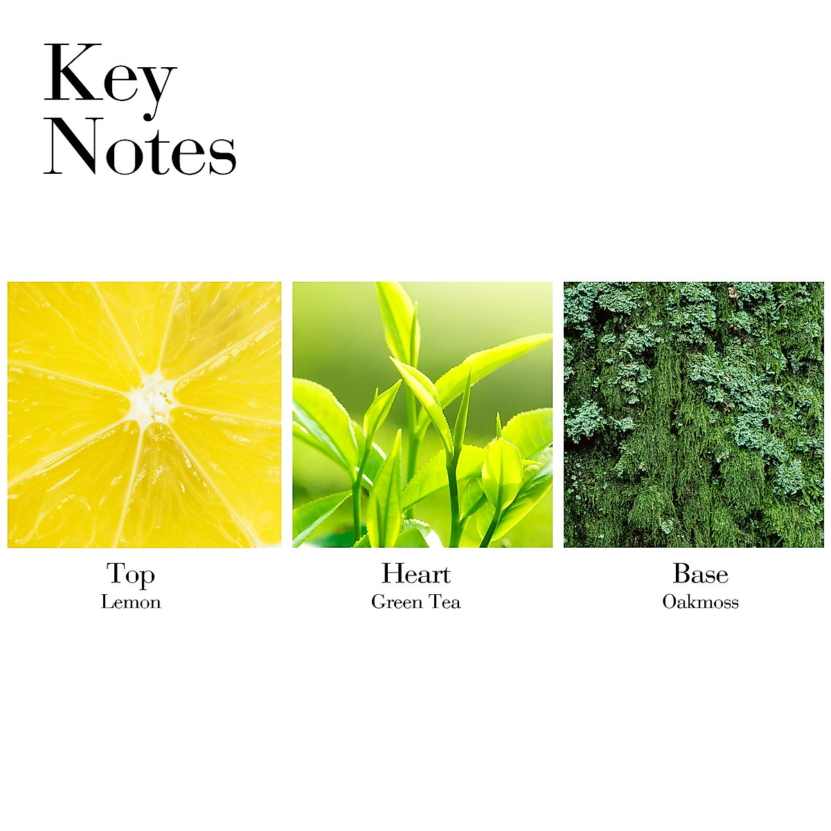 Elizabeth Arden Green Tea Body Lotion, Refreshing Moisturizer for Dry Skin, Hydrating and Dries Quickly, Lightweight Formula, Revitalizing and Uplifting Scent, 6.8 fl oz