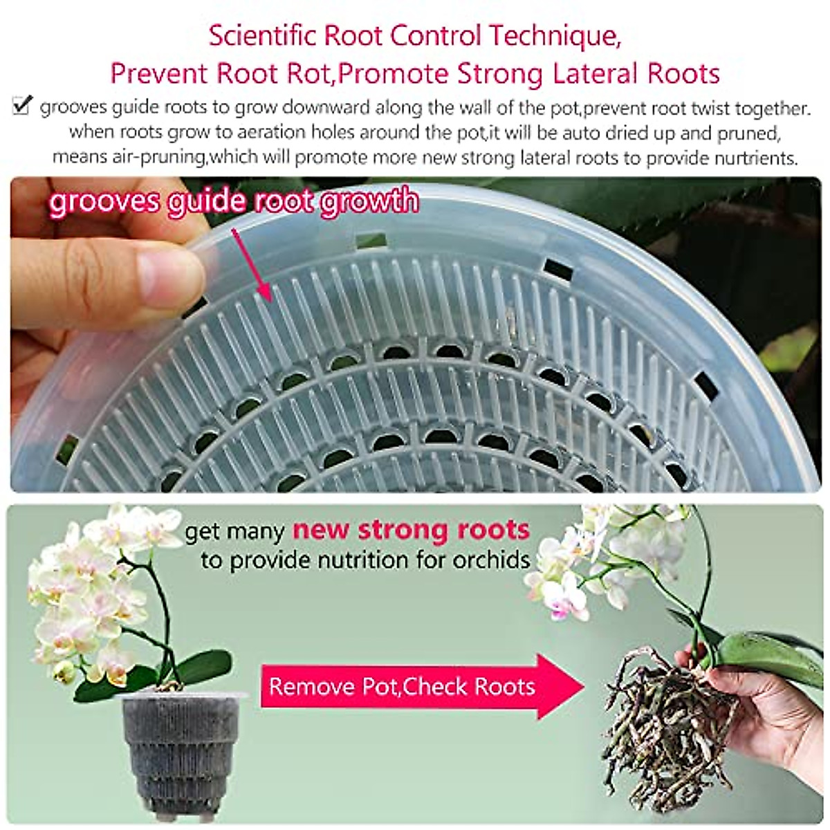 Meshpot 5 inch Orchid Pots with Holes for Repotting,Set of 2,Double Layer Plastic Imitate Ceramic Orchid Planter Provide Good Air Circulation,Clear Orchid Pot Match Decorative Orchid Container