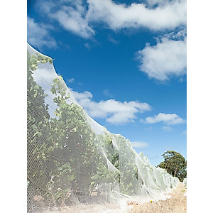 Garden Mosquito Netting for Patio, 10 ft x 12 ft Bird Bug Insect Netting Pest Barrier for Fruit Trees, Greenhouse, Large Plant Row Cover Screen for Vegetables