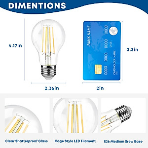 Talltreepho A19 LED Edison Bulbs 60W Equivalent, Energy Saving 800 Lumen Soft White E26 8W Non-Dimmable Clear 3000 Kelvin Natural Warm LED Light Bulbs, Antique House Lights, 6Pack
