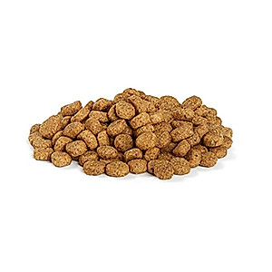 Amazon Brand - Wag Dry Dog Puppy Food, Chicken and Brown Rice, 5 lb
