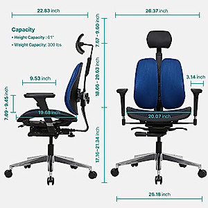 Duorest [Dual-backrests Alpha - Ergonomic Office Chair, Home Office Desk Chairs, Executive Office Chair, Best Office Chair for Lower Back Pain, Mesh Office Chair, Office Desk Chair (Black/Blue)