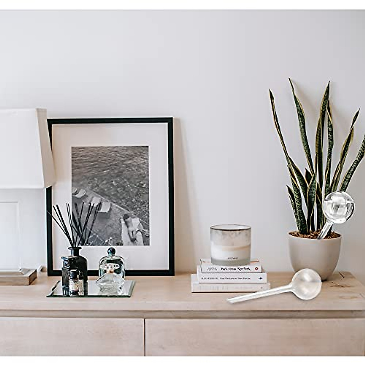 10 Pcs Plant Watering Globes,Clear Automatic Watering Bulbs,Plastic Garden Water Device for Plants,Water Drip Irrigationdevice Watering System